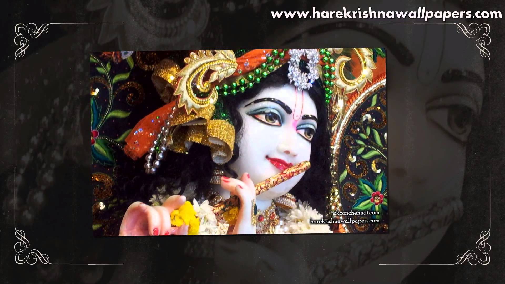 Sri Sri Radha Krishna Darshan at ISKCON Chennai - HARE KRSNA TV LIVE ...