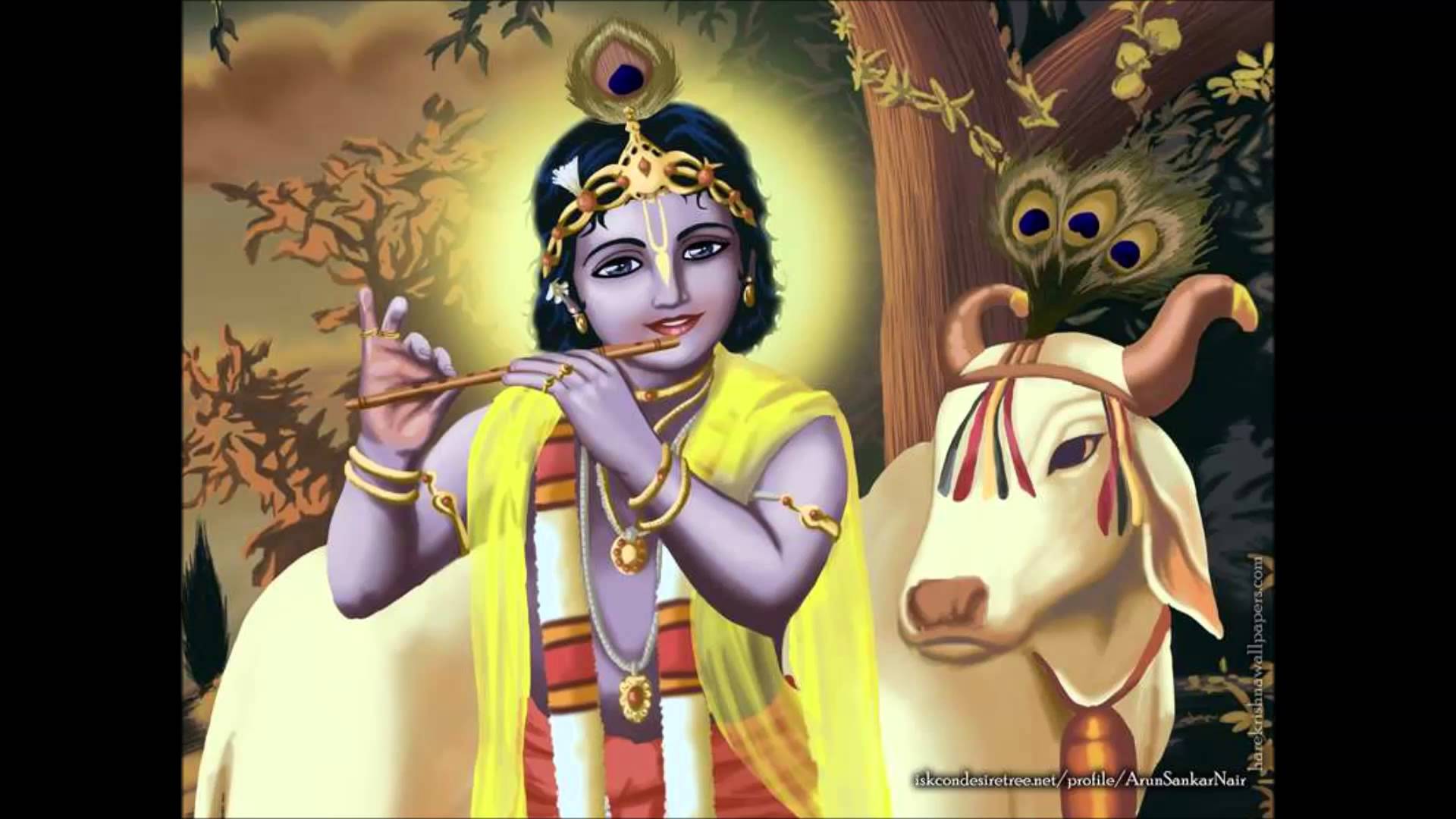 Krsna Krsna Krsna Krsna by Jai Sachinanadana Das - HARE KRSNA TV LIVE ...