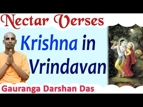 Krishna in Vrindavan | Nectar Verses (SB 10.14.1) | Gauranga Darshan ...